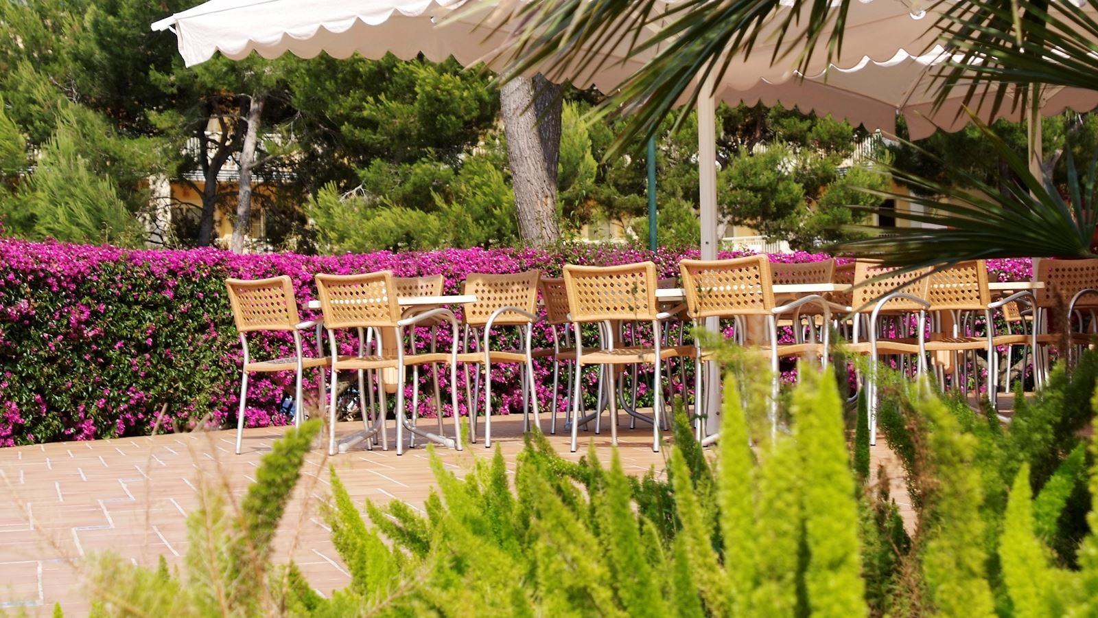 ZAFIRO MALLORCA, Hotel Spania | Coral Travel